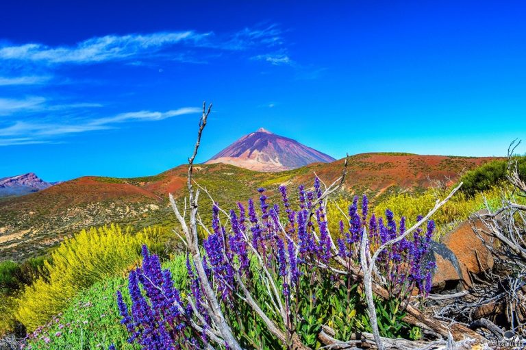 How to Climb Teide: by Car, Cable Car, or on Foot